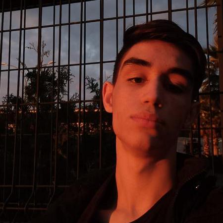 Alexandre Muller Github