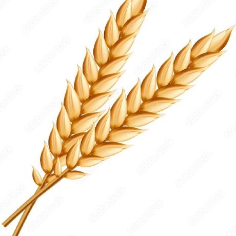 Vinland Technology Github - Best City Backgrounds in HD