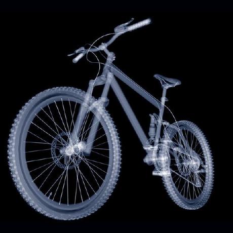 Drayano60 Dray Github - Premium Nature Picture Gallery - Mobile