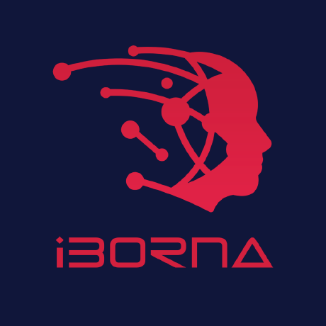 Borna Labs Github