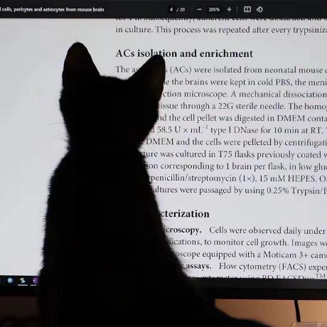 Pythonthink Python 沉思录 Github