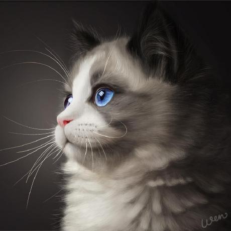 Howardmccoychan Howard Chan Github