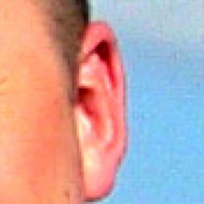 Violetta Trajector Github - Ocean Image Collection - HD Quality