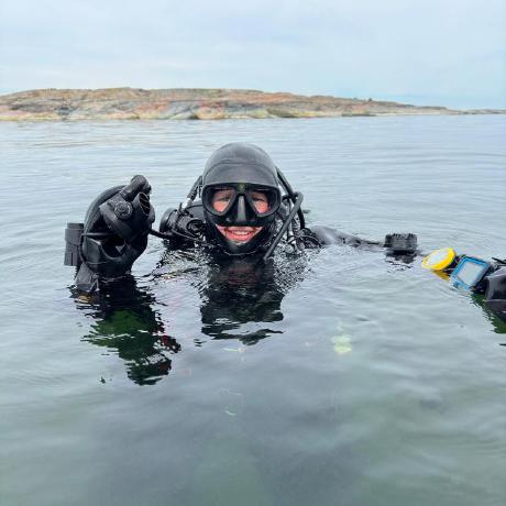 Petra Modeler Github