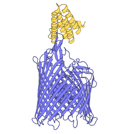 Australian Protein Design Initiative Github