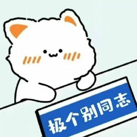Yutao Dev Notjustcatcoder Github