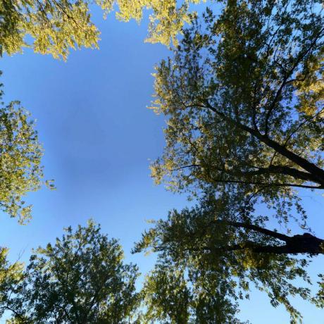 Jackwherry Jack Wherry Github