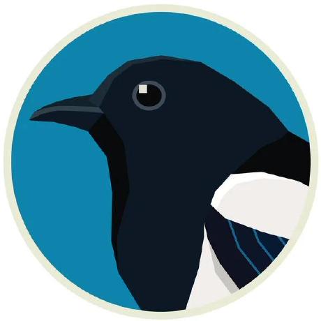 Team Magpie Github