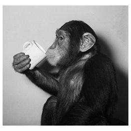 Io Timeout Sgd Github