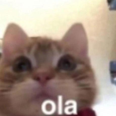 Github Safayetshurid Elf - Retina Vintage Arts for Desktop