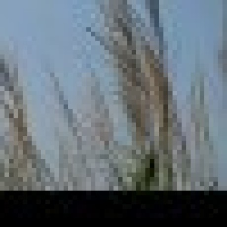 Life Infinity Github