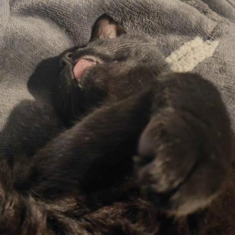 Pierreandersson Pierre Andersson Github - Geometric Photo Collection - Desktop Quality