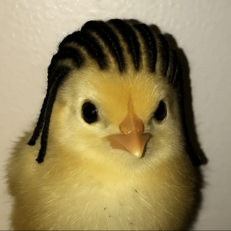 Marcsuarez Marc Github