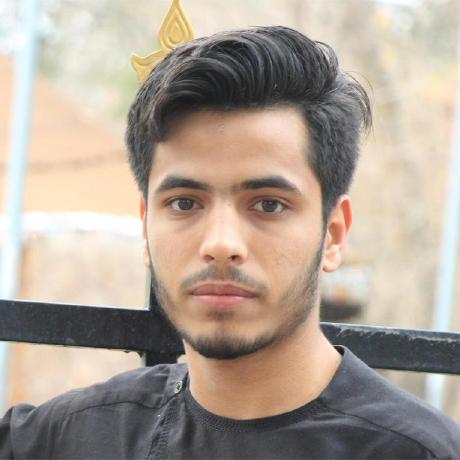 Mr Mohammadi Sab Github