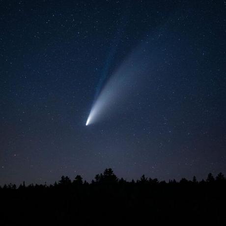 Roninbyrne Ronin Github