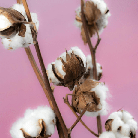 Jun060128 Jun Github