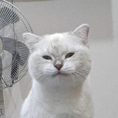 Error404 Brain Hﾆｰng Dﾃｵ ﾂｷ Github