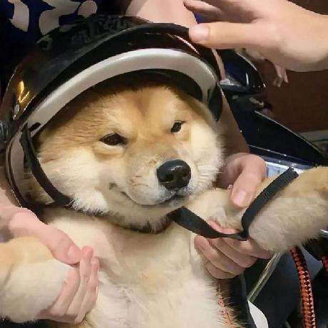 Pumpkin003 胡强 Github