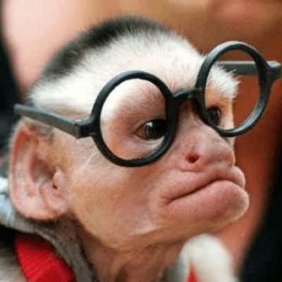 Etorth Etorth Github