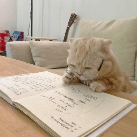 Swa Hub Swathi Kancharla Github