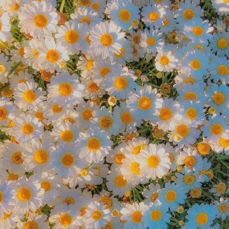 25rachel Max I M Rachel Github