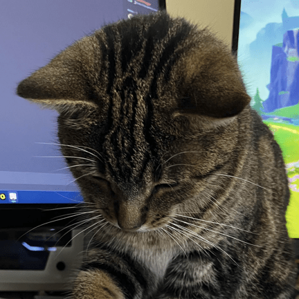 Amimi Codes Amy Github