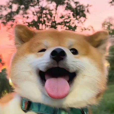 Jammingking Wang Jiaming Github