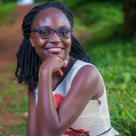 Sophie Collab Github