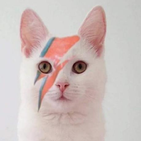 Catherineeng Catherine Github