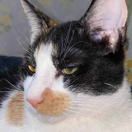 Jaidevxb Jaidev B Github