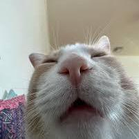 Orialdev Orialdev Github