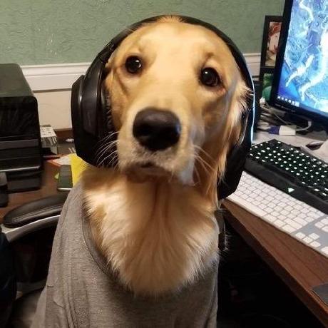 Kacperpatrium Kacper Github