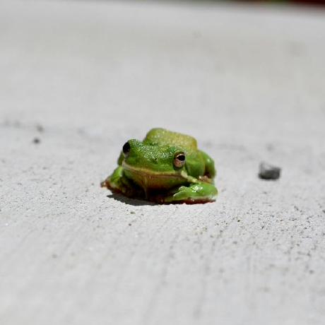 Tux Type Tux Type Github