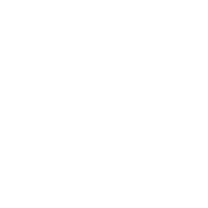 Liubaicai 刘白菜 Github