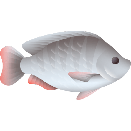 Guowenat Guowen Huang Github