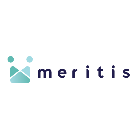 Meritis Github