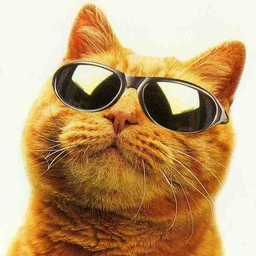 Raf1994s Raf Github - Best Light Textures in Ultra HD