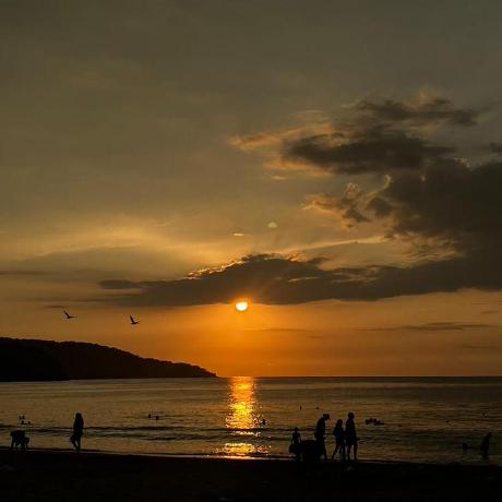 Alegomez15 Ale Gomez Github