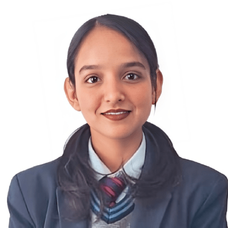 Rina V09 Rina Github