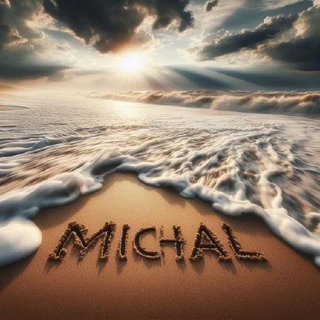 Michal 2024 Github