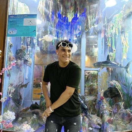 Yousef01222 Yousef Salah Diab Github