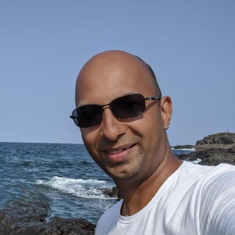 Robins Robins Github