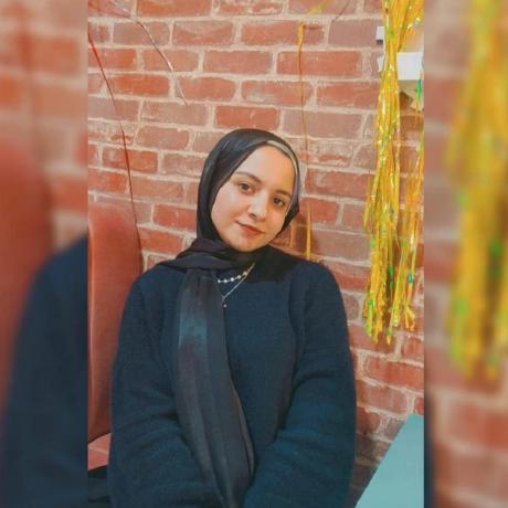 Rawda Ahmed2 Rawda Ahmed Github