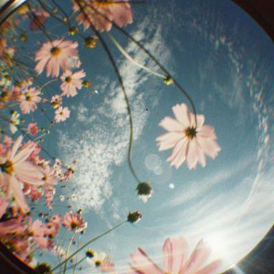 Flying Butterfly Github