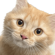 Daledale143 Theerapat Github