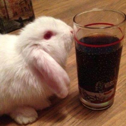 Twj 420les Orexxd Github