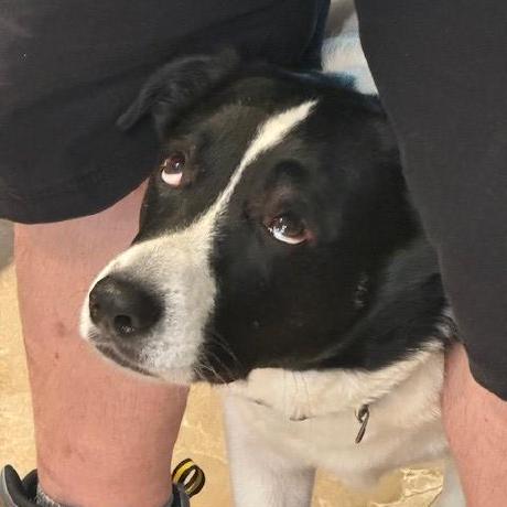 Butler Devops Lee Butler Github