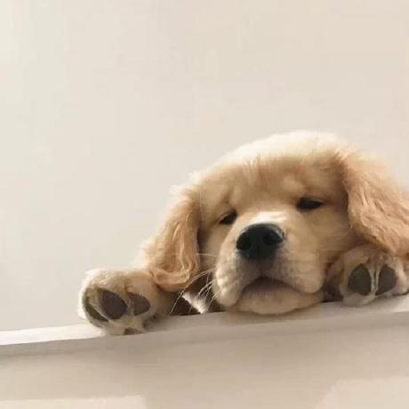 Devilicious Ken Ken Github