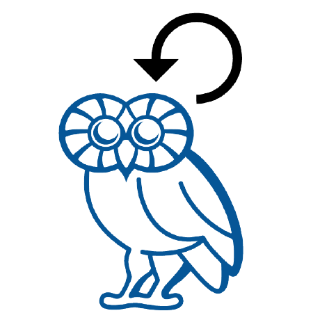 Kemerelab Rice University Neuroengineering Lab Github