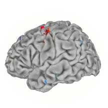 Laboratory Of Neurocognitive Development Github